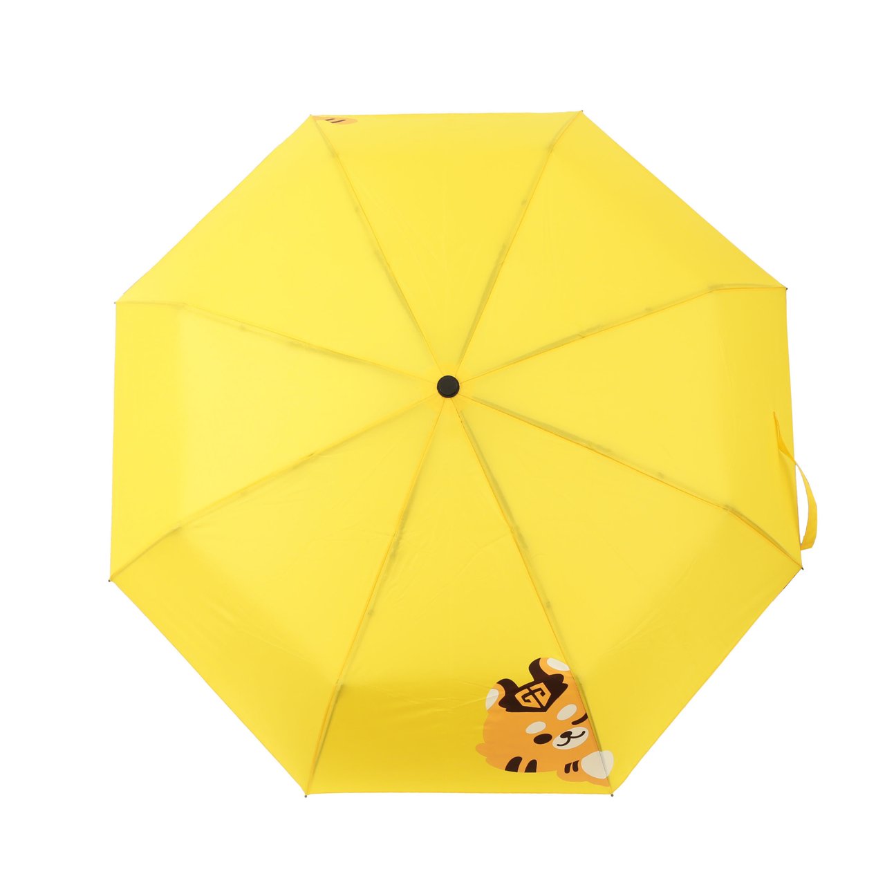 [Canyon 포토카드 증정] GenRang item