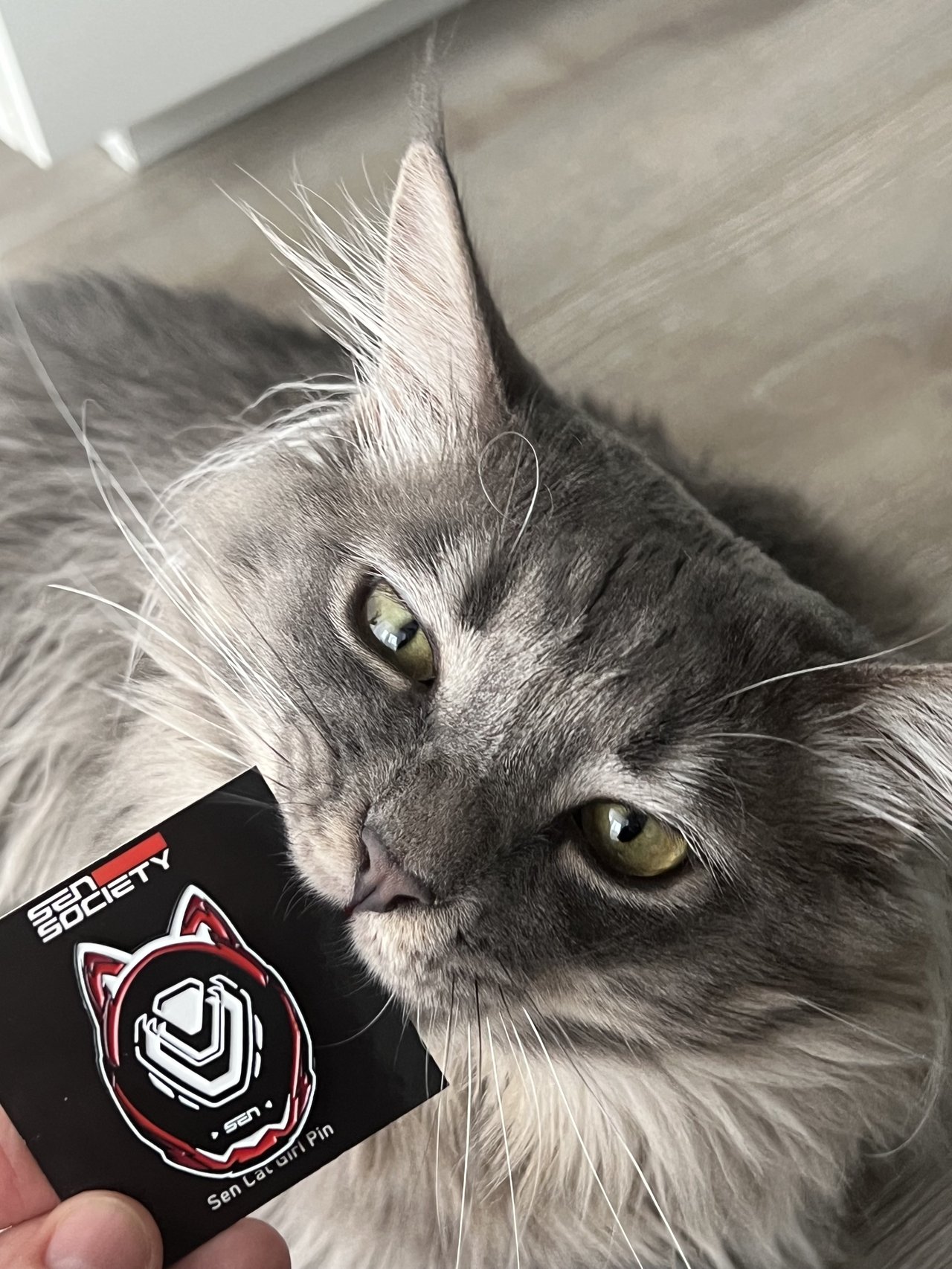 SEN Cat Girl Pin Now Available!