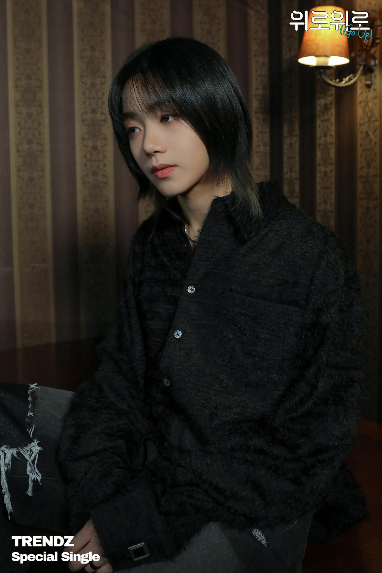 K-Idol Facts: Havit | K-POP ROMÂNIA