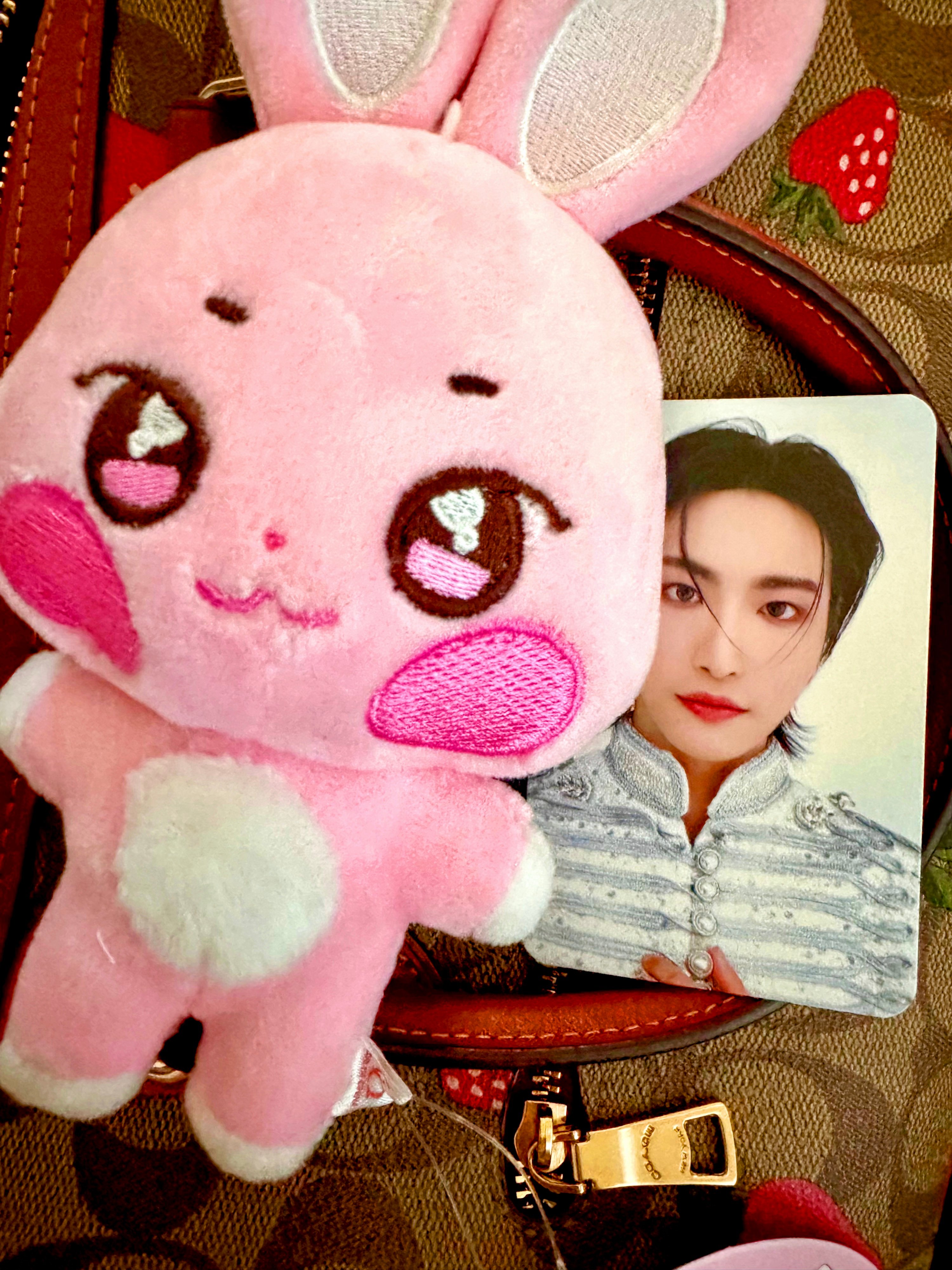 I'm so glad I ended up getting some of the DDEONGbyeoli ANITEEZ merch ...