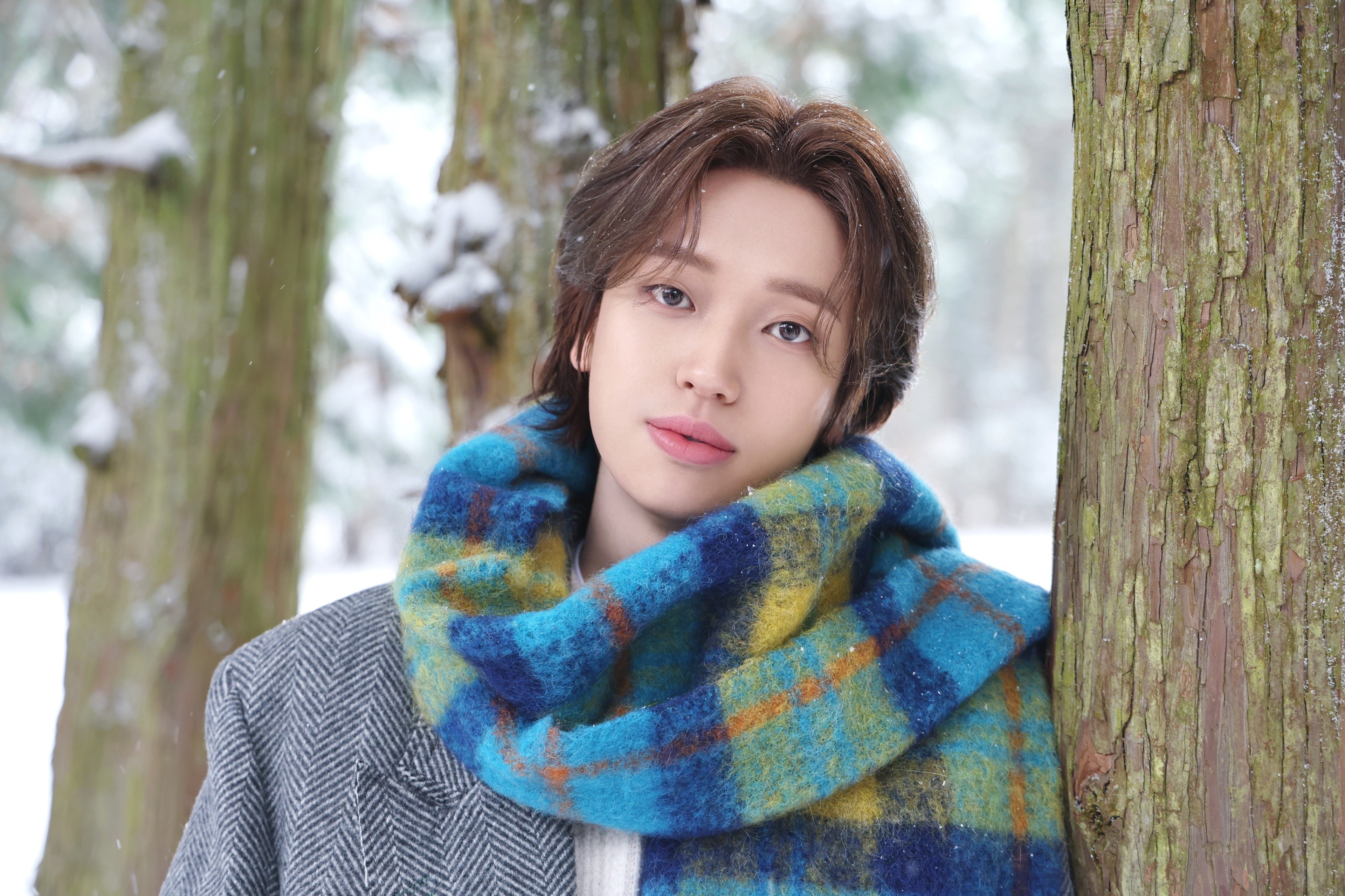 니엘 팬덤 플랫폼 | Niel Fandom Platform