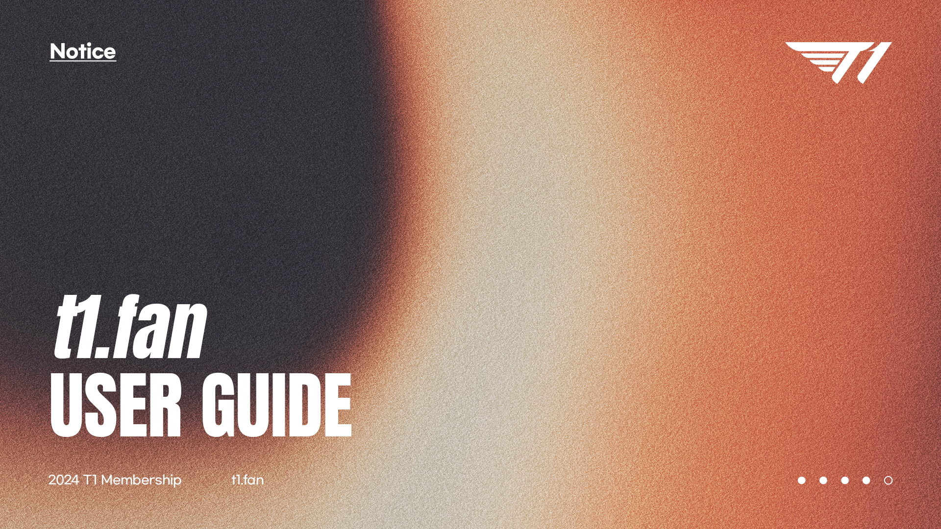 t1.fan User Guide